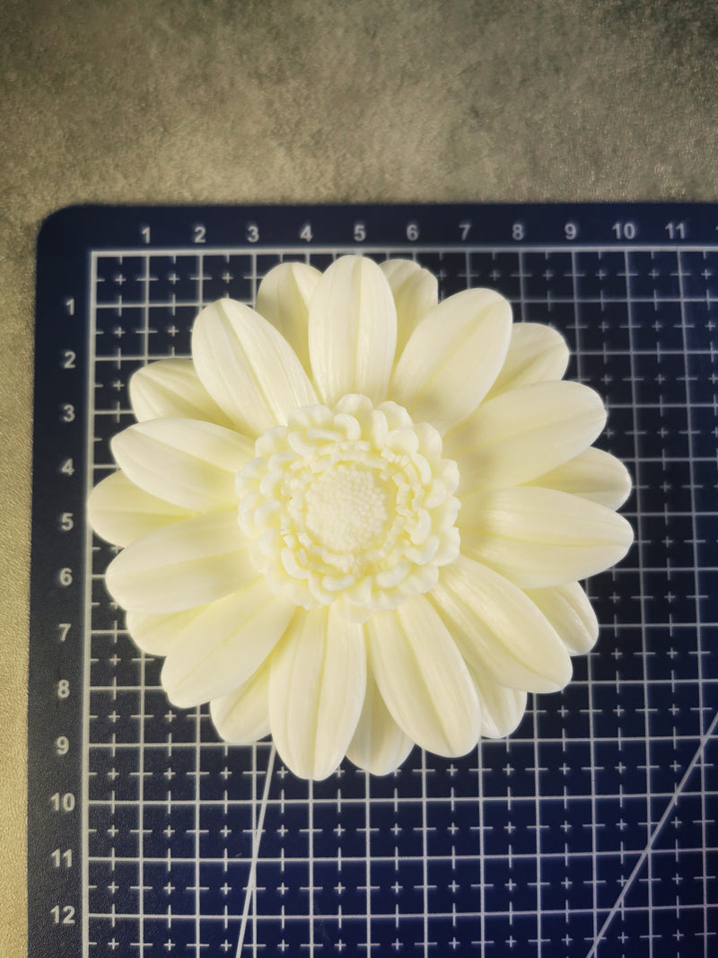 Fabrica de Matrite – Matrite Silicon