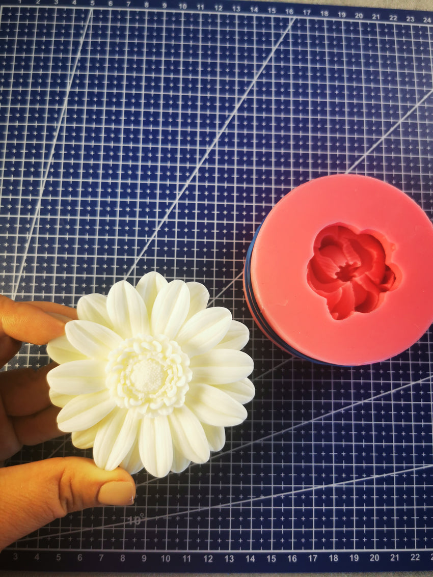 Fabrica de Matrite – Matrite Silicon